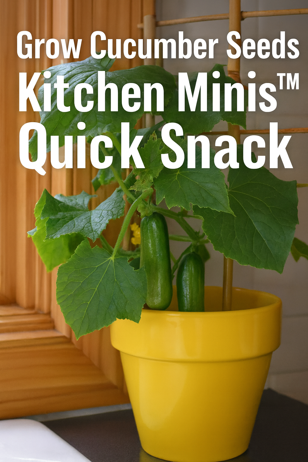 Grow Cucumber Seeds Kitchen Minis™ Quick Snack Indoors or Outdoors ...