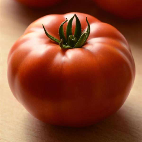 Tomato Seeds Heirloom Marriage™ Genuwine – Buy Bulk Seeds